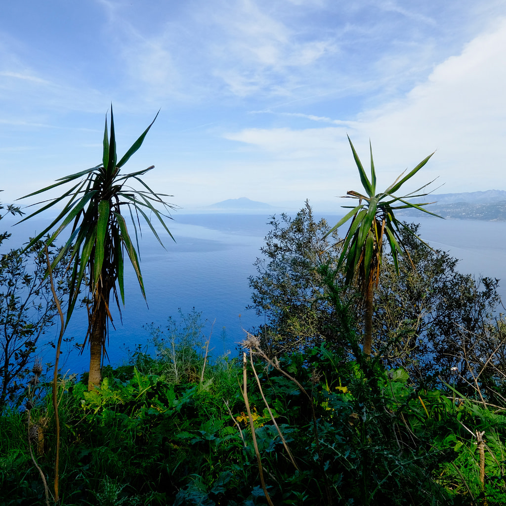 Volcano Capri Blue | Canadian Supplier