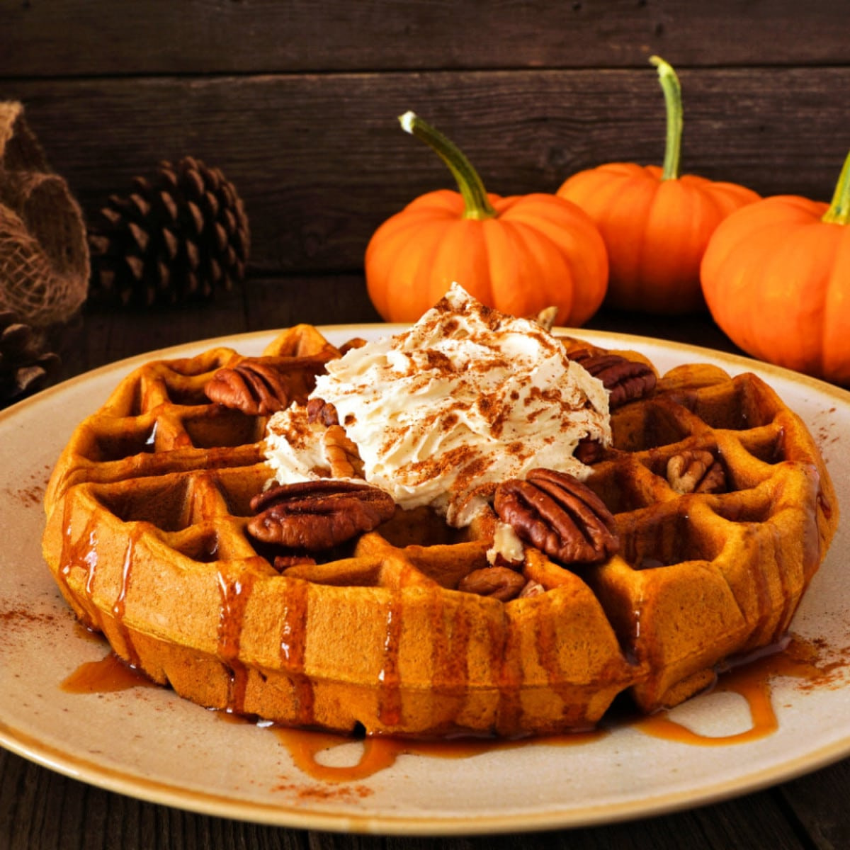 Pumpkin Pecan Waffles Fragrance Oil | Canadian Supplier