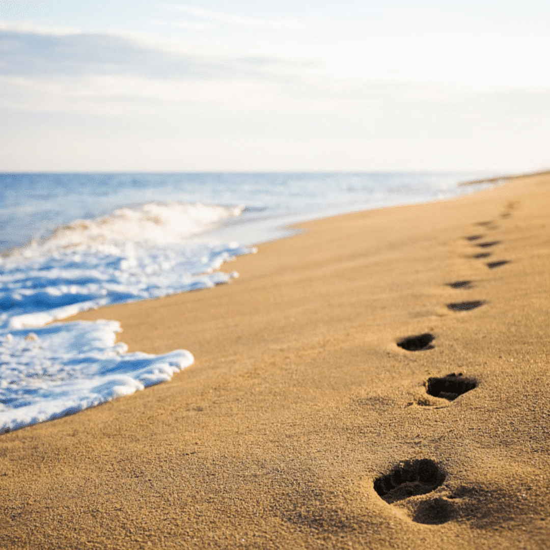 Beach Walk Fragrance Oil | Canadian Supplier